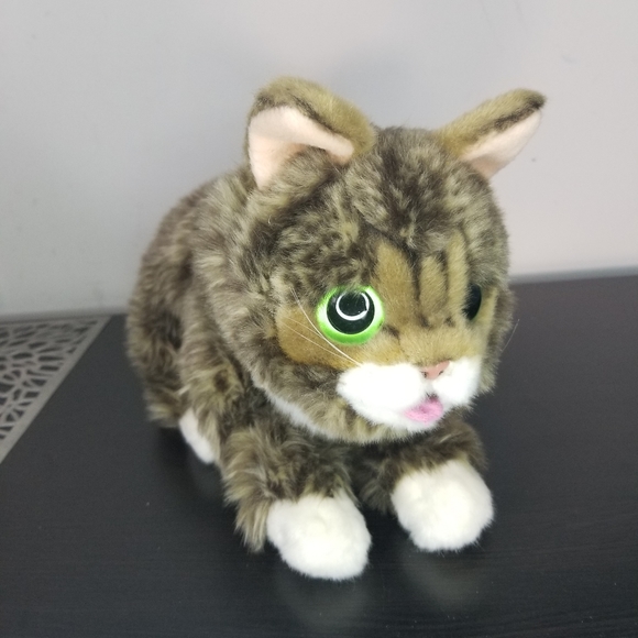 cuddle barn | Toys | Cuddle Barn Lil Bub Adorable Kitten Cat Plush Toy ...